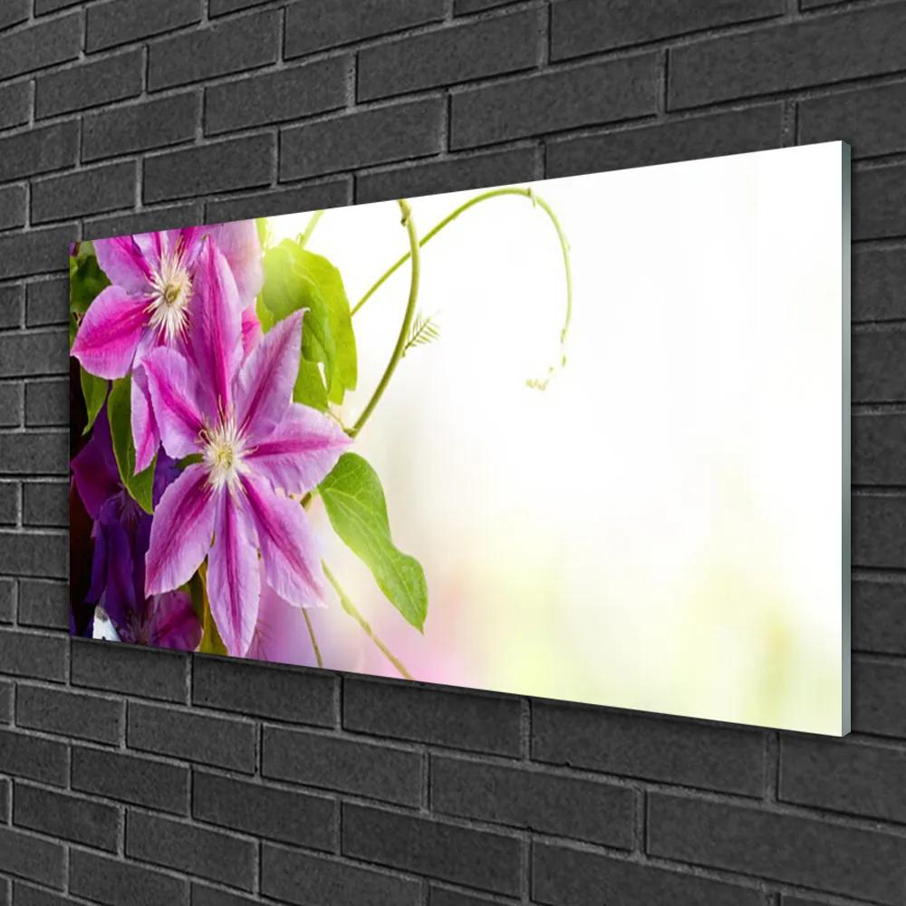 Obraz na skle Květiny Příroda 140x70 cm