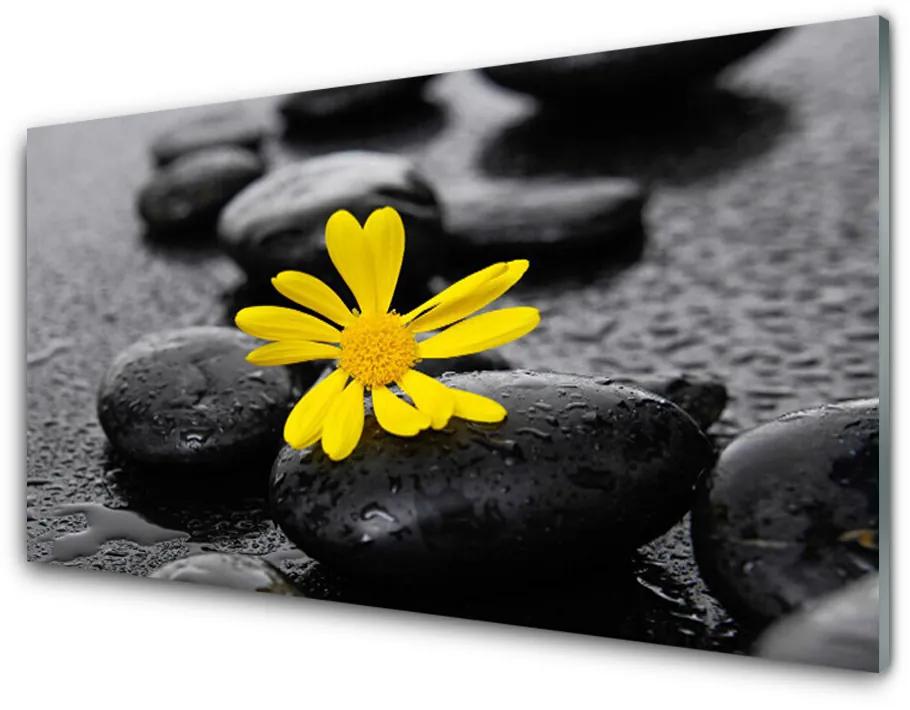 Obraz na skle Květ Kameny Rostlina Lázně 125x50 cm