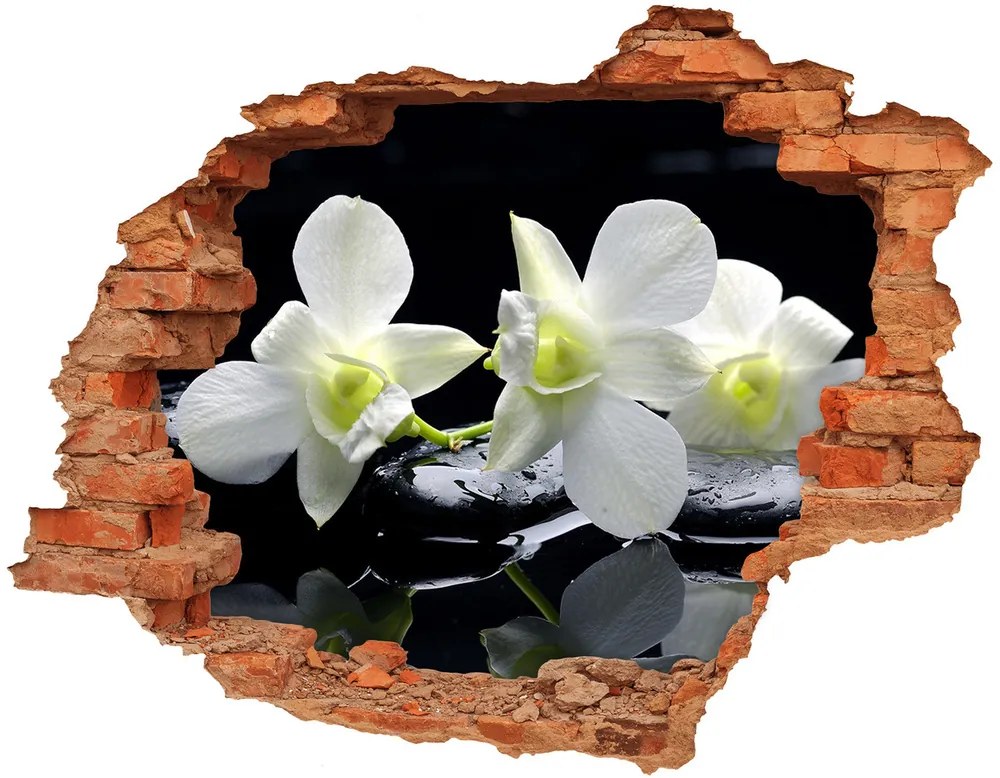 Wallmuralia Samolepící nálepka fototapeta Orchidej 90x70 cm