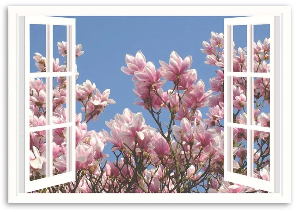 Gario Obraz na plátně Kvetoucí magnólie za oknem Rozměry: 60 x 40 cm