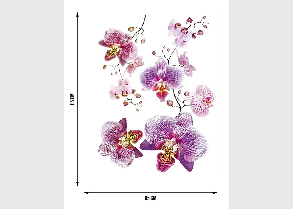 Samolepka na zeď Fialové Orchideje | 65 x 85 cm | DF0466