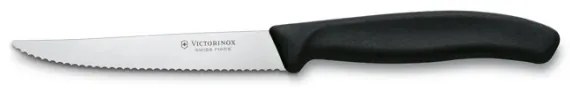 Steakový nůž VICTORINOX 6.7233 11 cm modrá