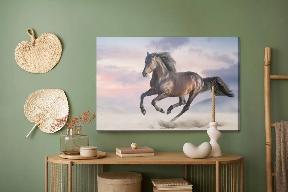 Obraz Kůň Ve Cvalu Nedostatek Nedostatek Plátno Canvas 100x70