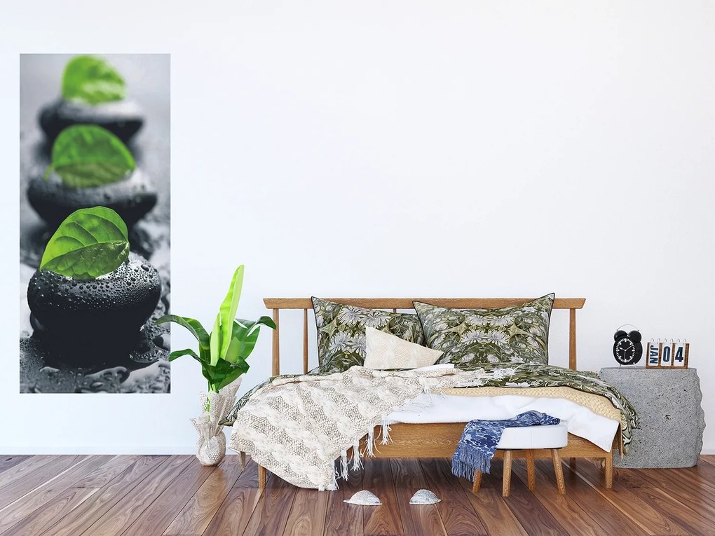 Vliesová fototapeta na zed' Kameny s Lístkem | 202 x 90 cm | DFTNV2803