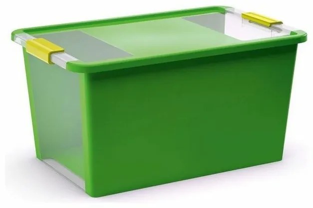 Úložný Bi box S, 11 litrů průhledná/zelená barva