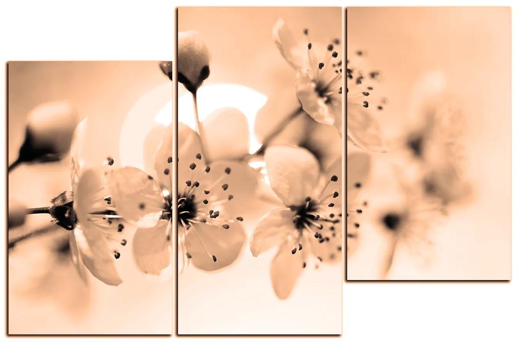 Obraz na plátně - Malé květy na větvi 1173FD (105x70 cm)