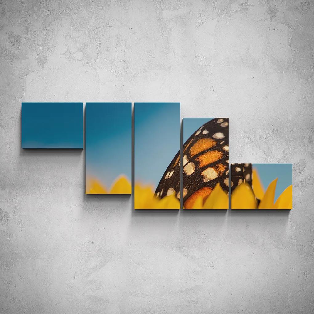 5-dílný obraz - Motýl - PopyDesign