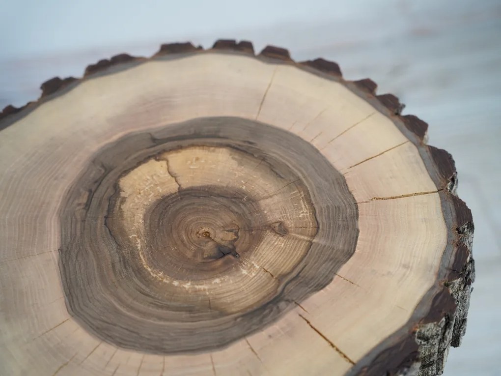 Konferenční Stůl, Ořech s kůrou 42-44 cm