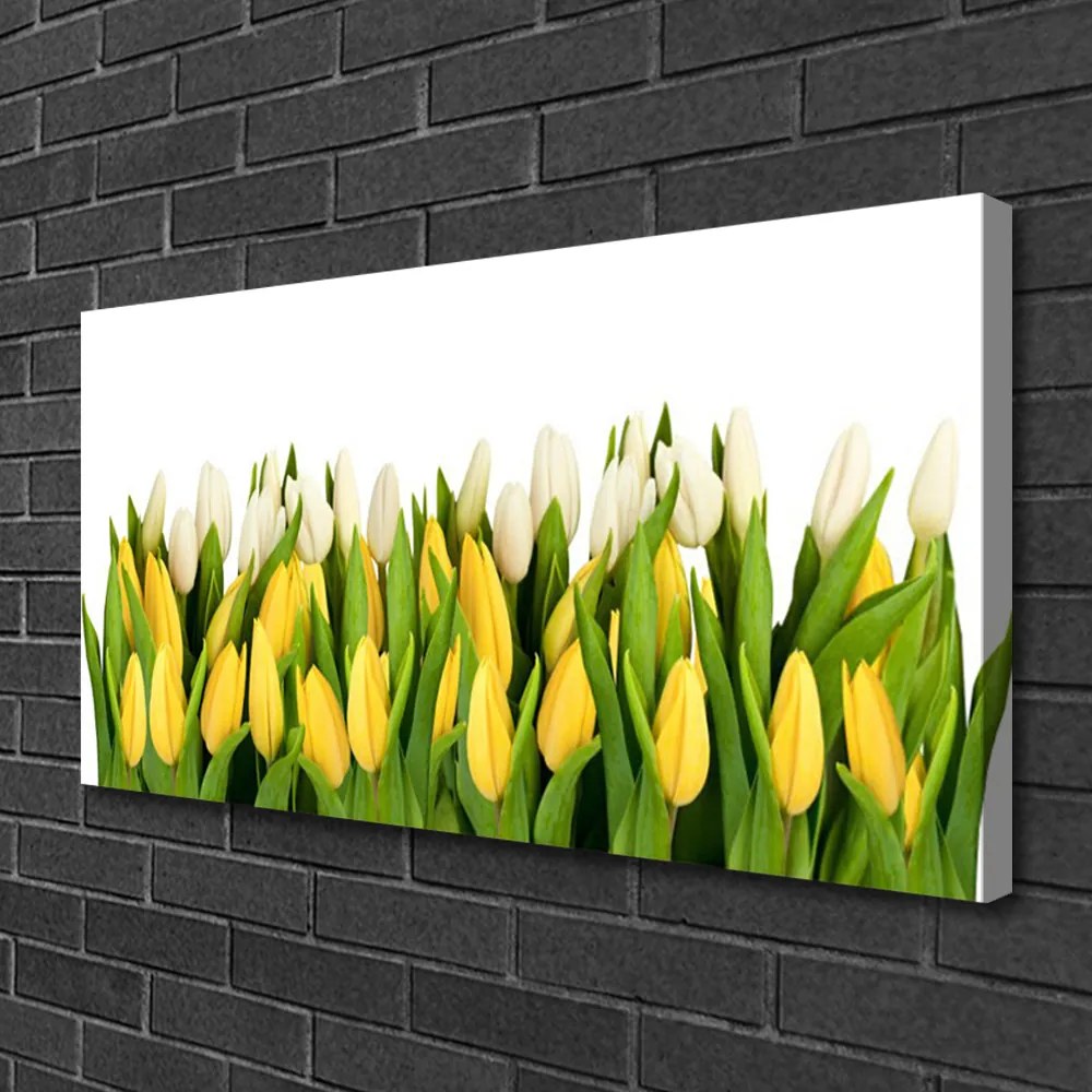 Obraz na plátně Tulipány Květiny Rostlina 125x50 cm