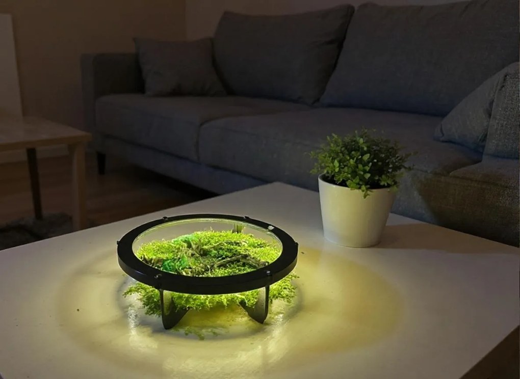 Li-Go "Mechové kopečky s kořeny" dřevěná lampa/obraz s baterií a pohybovým čidlem/černá s patinou velikost svítidla/hodin: 31 cm