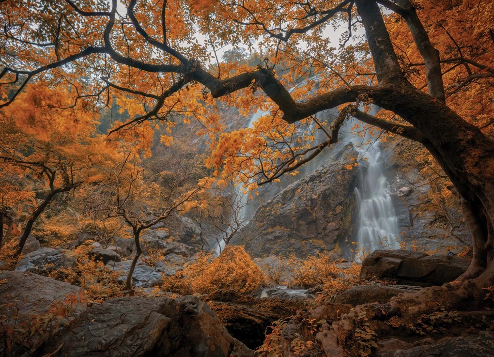Malvis ® Tapeta Podzimní vodopád Vel. (šířka x výška): 360 x 260 cm