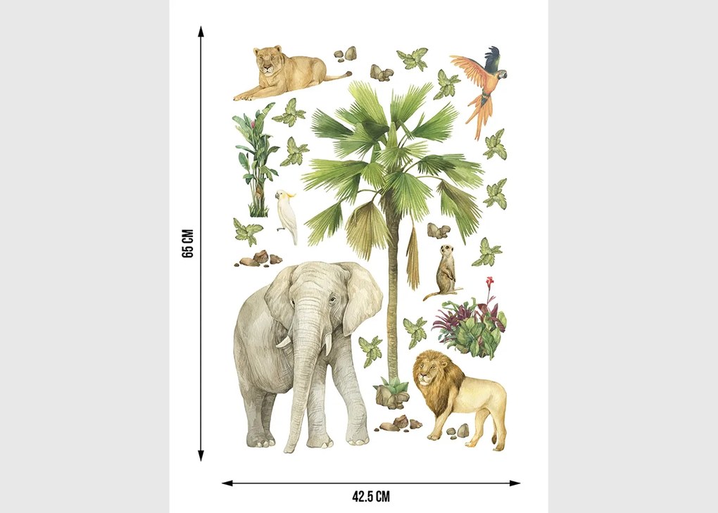 Dětská samolepka na zeď Jungle | 42.5 x 65 cm | DDK1743