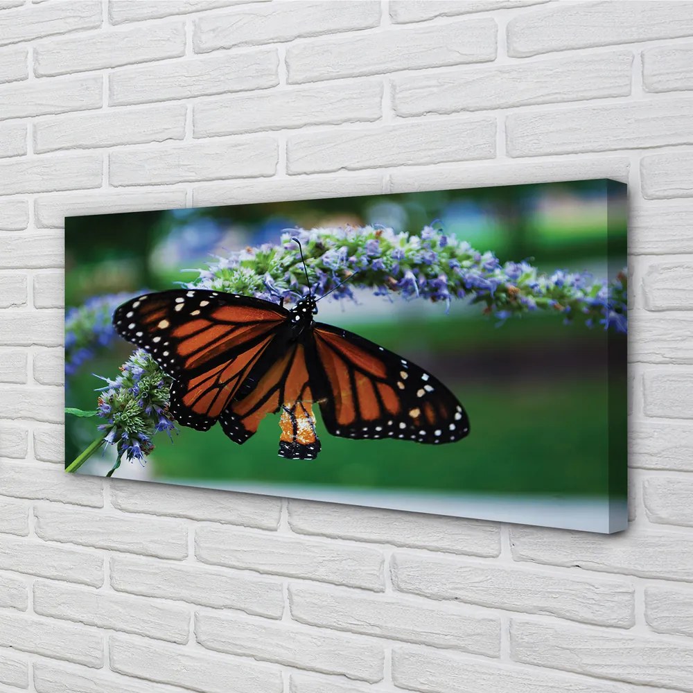 Obrazy na plátně Motýl na květině 140x70 cm
