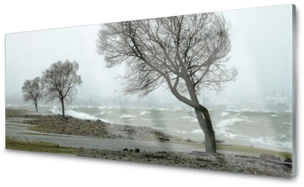 Skleněný obraz Skleněný Moře Bouře Vlny