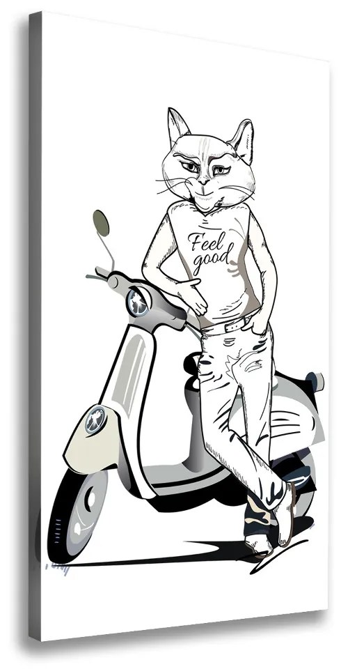 Wallmuralia Vertikální Foto obraz na plátně Kočičí muž 50x100