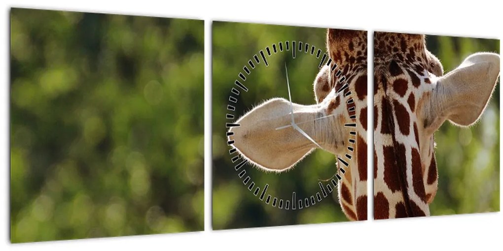 Obraz žirafy zezadu (s hodinami) (90x30 cm)
