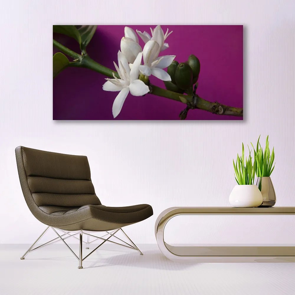 Plexisklo-obraz Květiny Úhonky Příroda 120x60 cm