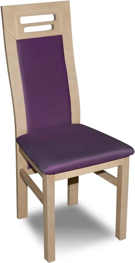 Minimalistická jídelní židle Mona