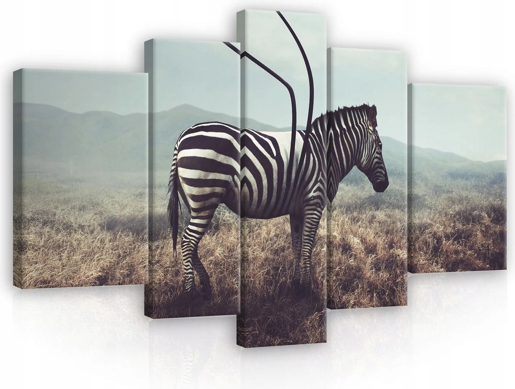 Obraz 170x100 Zebra savana příroda osamělost abstrakce minimalismus