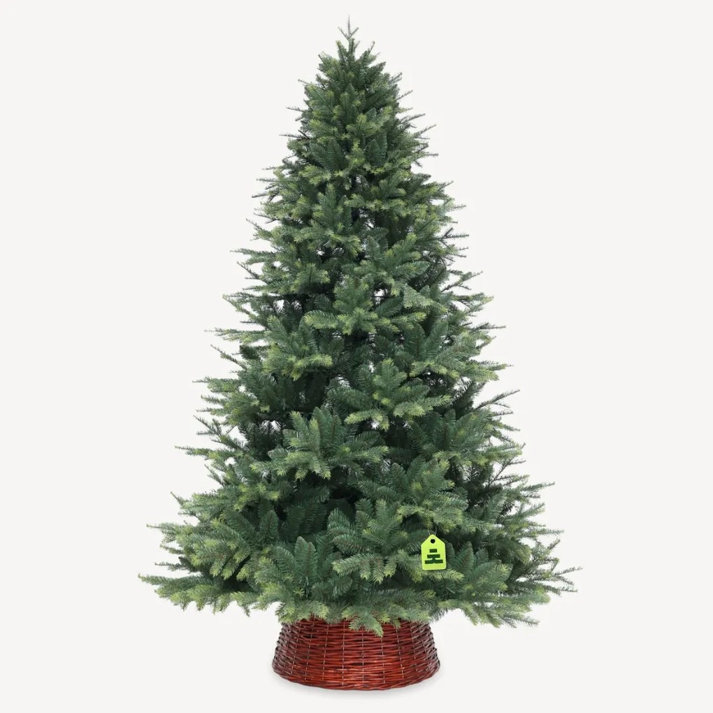 Smrk Himalájský 150 cm