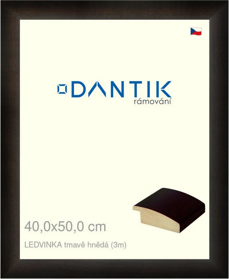 DANTIK rámeček 40x50 | LEDVINKA tmavě hnědá (Plexi Čiré)