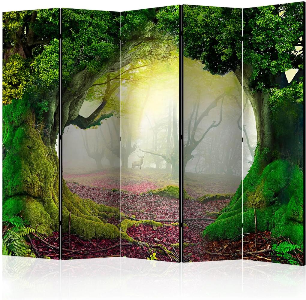 Paraván - Enchanted forest II [Room Dividers] 225x172