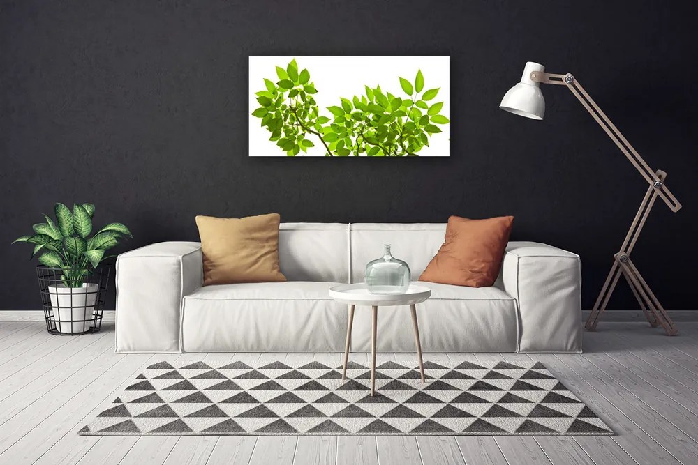 Obraz na plátně Větev Listy Rostlina Příroda 125x50 cm