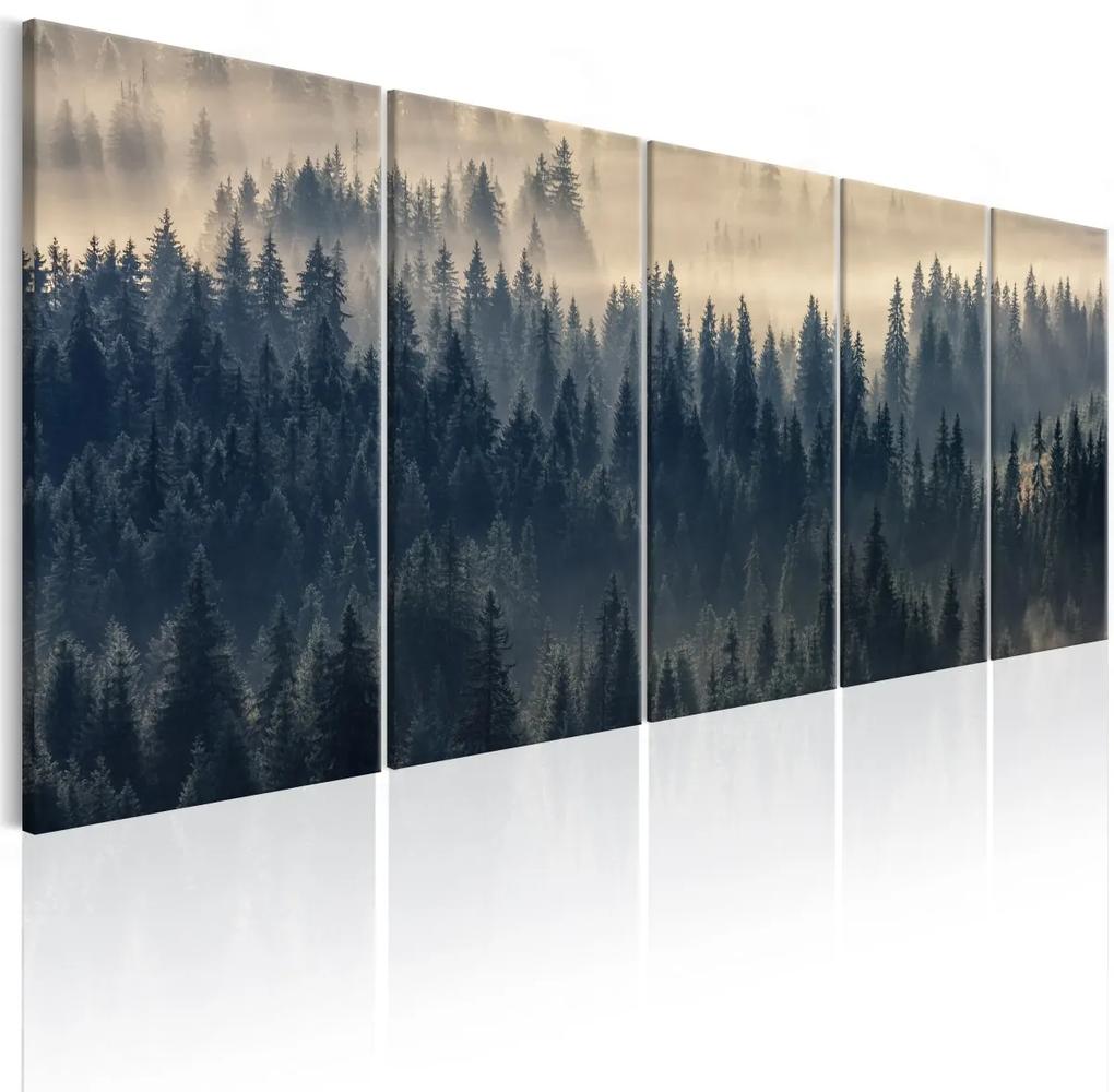 Murando DeLuxe Pětidílný obraz - stromy v mlze Velikost: 125x50 cm