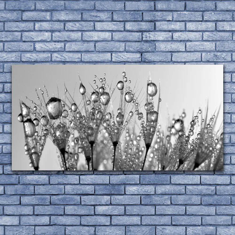 akrylový obraz Abstrakce Rostlina Příroda 120x60 cm