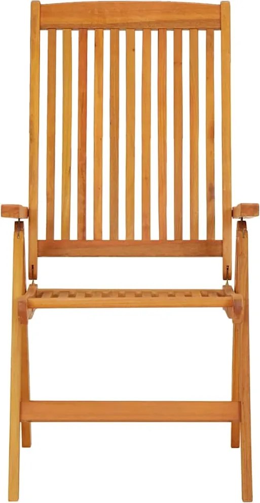 Skládací židle 2 ks, masivní dřevo, eukalyptus 316069
