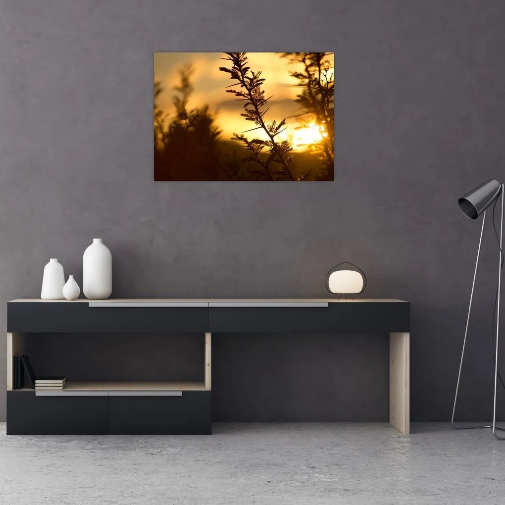 Skleněný obraz - Slunce zapadající za stromy (70x50 cm)
