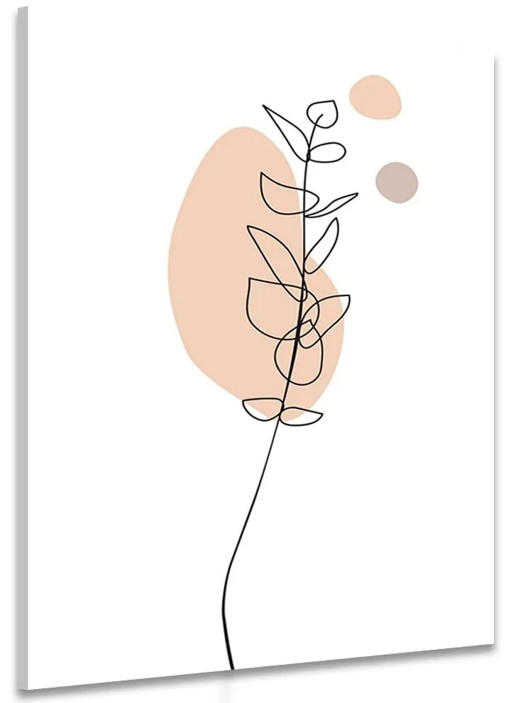Obraz minimalistický list na bílém pozadí No3 - 40x60