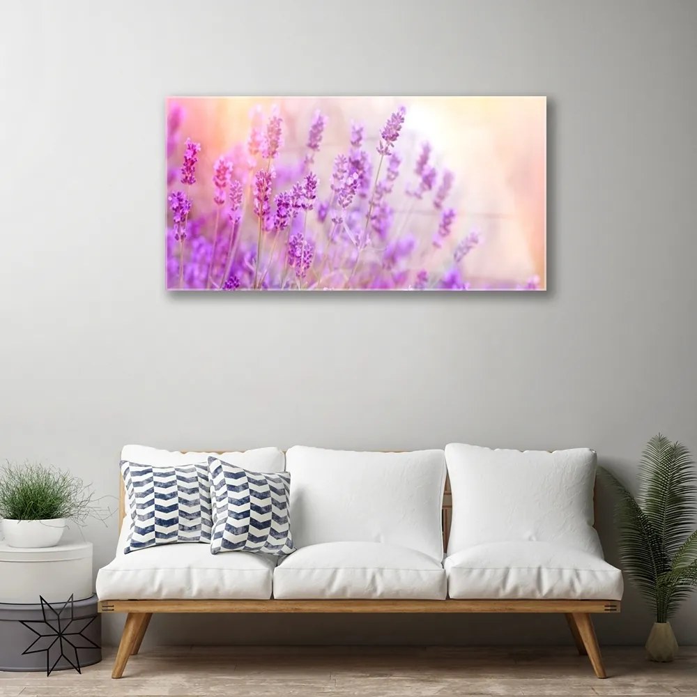 Obraz na skle Levandulové Pole Slunce Květiny 125x50 cm
