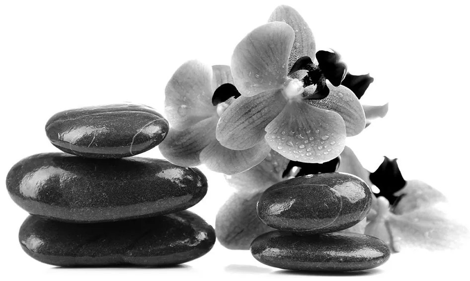 Tapeta orchidej a černobílé kameny - 450x300 cm