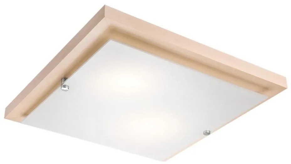 LED Stropní svítidlo 1xLED/24W/230V buk