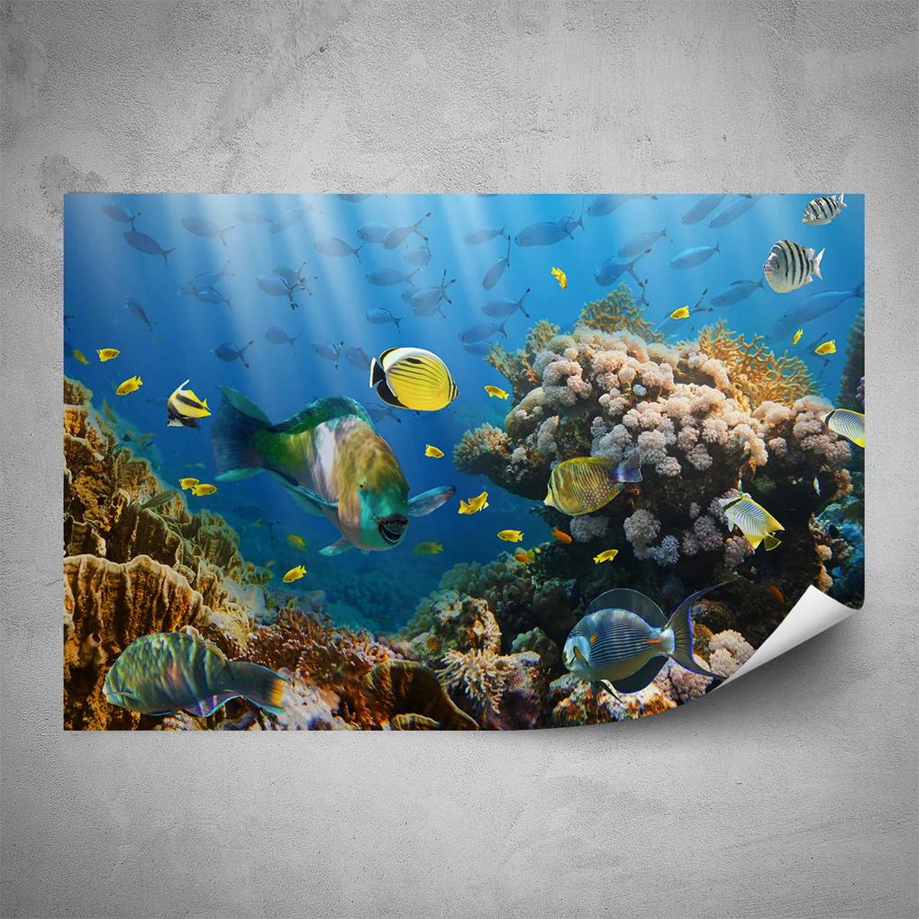 Plakát - Korálový útes (60x40 cm) - PopyDesign
