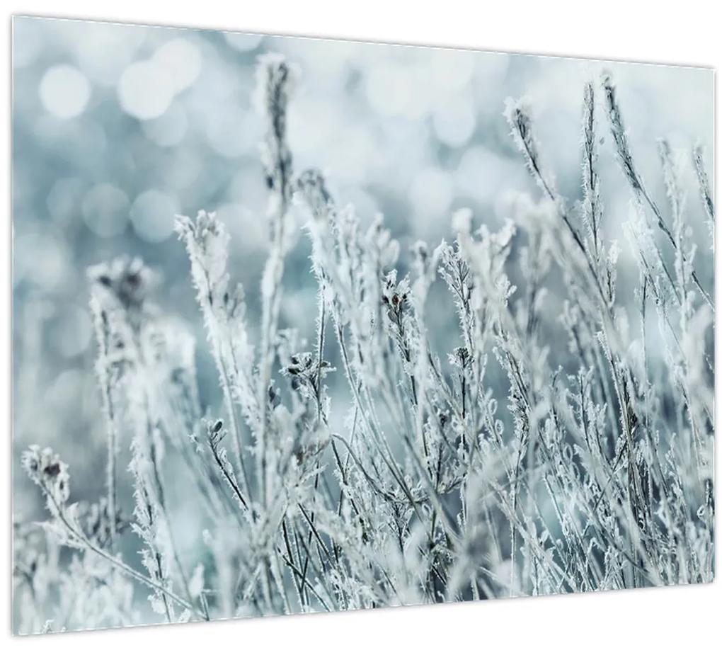 Obraz - Kouzlo zimy (70x50 cm)