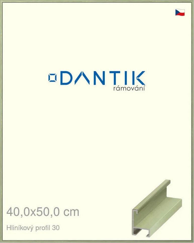 DANTIK rámeček 40x50 | ALU profil 6030 Dýha barevná zelená pastel (Plexi Čiré)