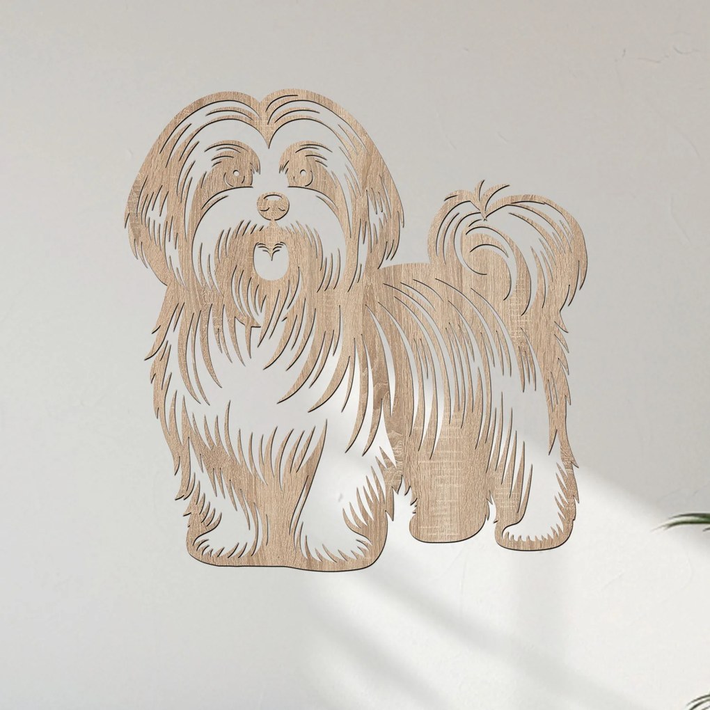 dřevo života Dřevěný obraz Havanský psík (Havanese) Zvolte rozměr (cm): 57x60, Zvolte barvu dekoru: Ořech