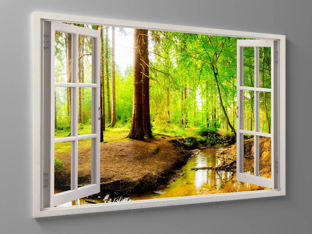 Liox 3D obraz lesní potok Rozměr: 100 x 65 cm