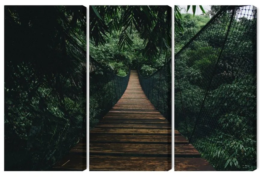 Vícedílný obraz Dřevěný Visutý Most V Lese Nedostatek Nedostatek Přírodní plátno 180x120