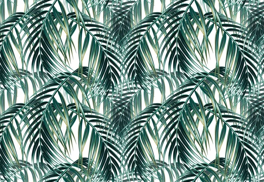 Fototapeta Palmové Listy Omyvatelný vlies 416x254
