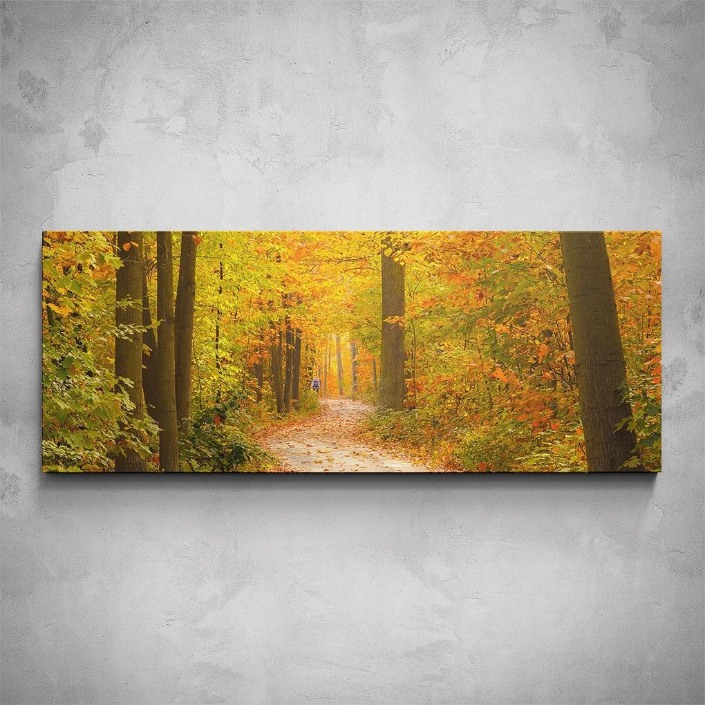 Obraz - Podzimní cesta - PopyDesign