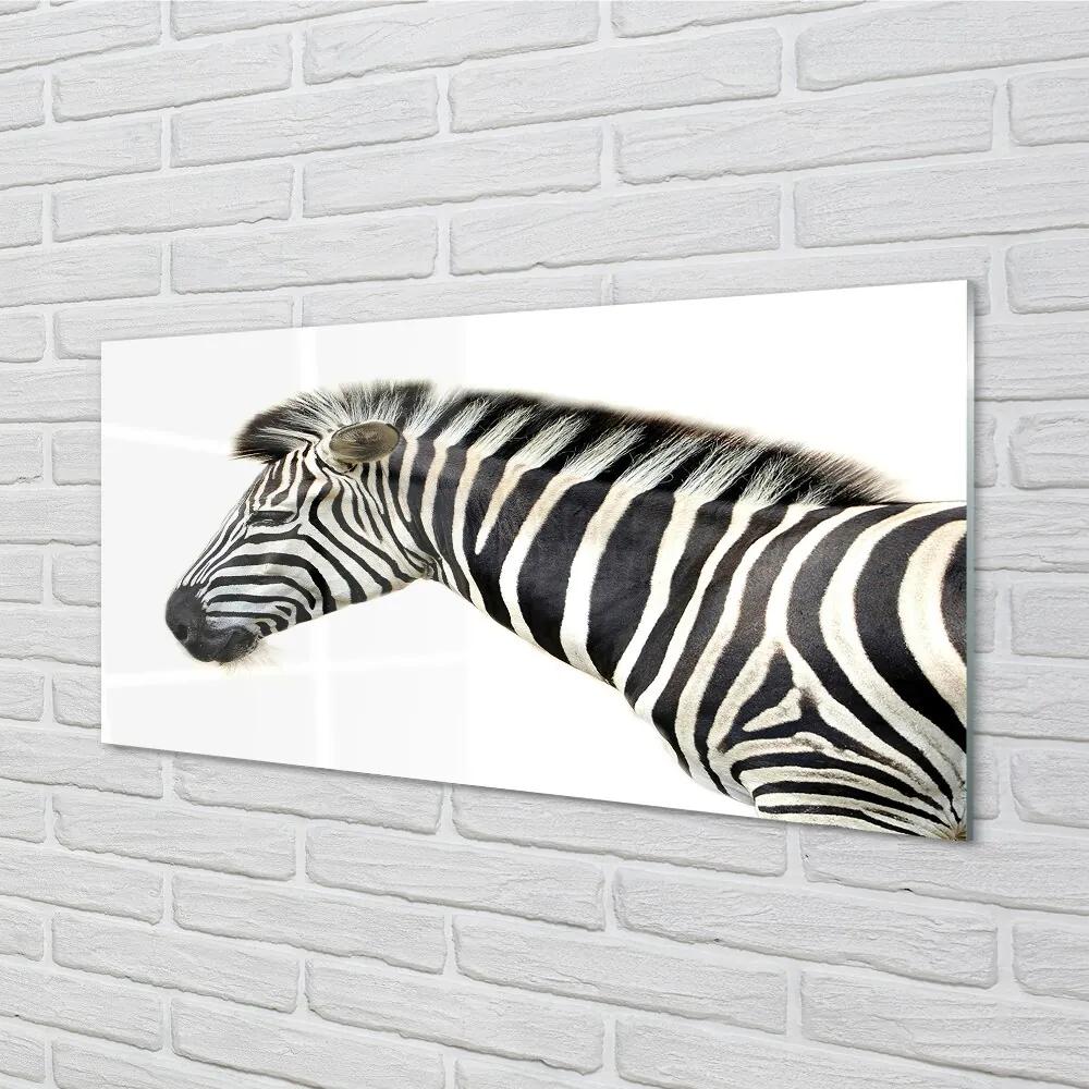 Obraz na skle zebra 100x50 cm