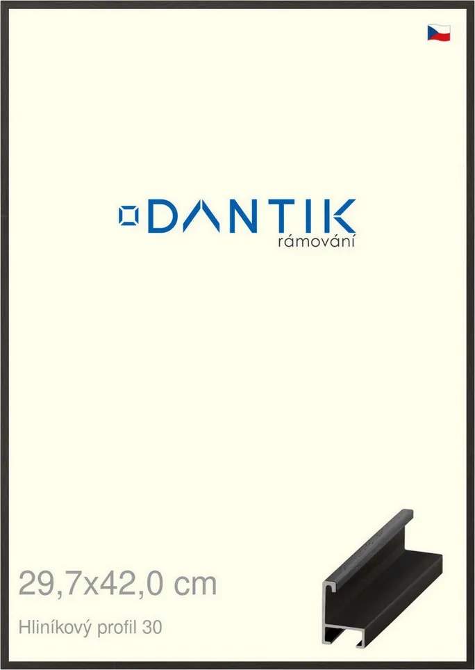 DANTIK rámeček 29,7x42 | ALU profil 6030 Dýha černá (Plexi Čiré)