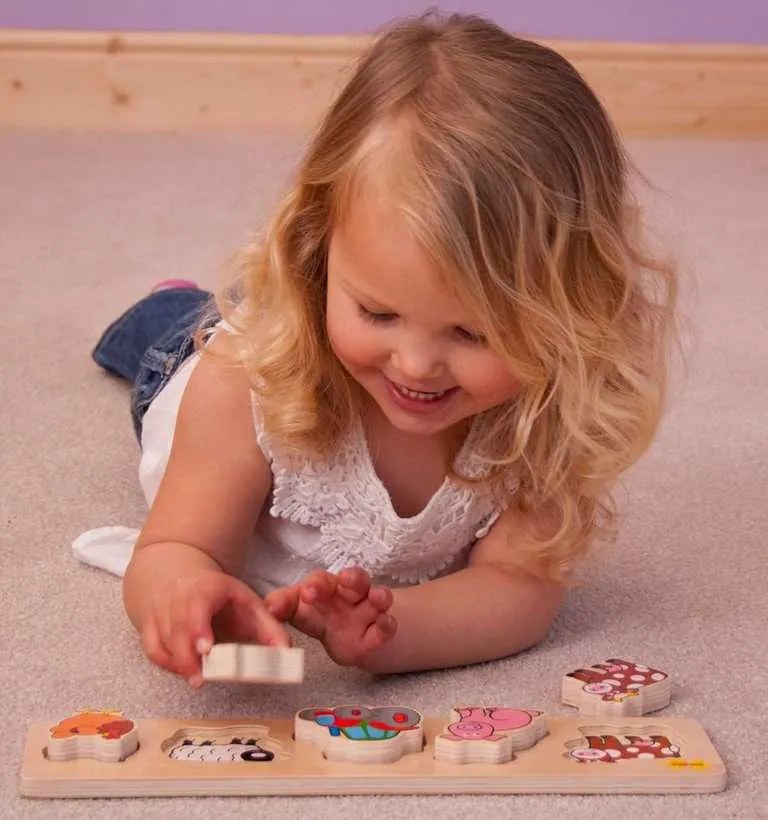 Bigjigs Toys Bigjigs Baby Dřevěné vkládací puzzle farma