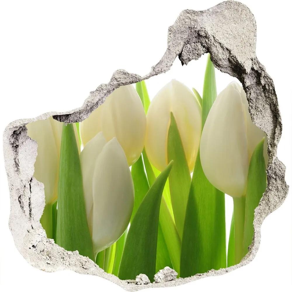 Wallmuralia Samolepící nálepka fototapeta Tulipány 75x75 cm
