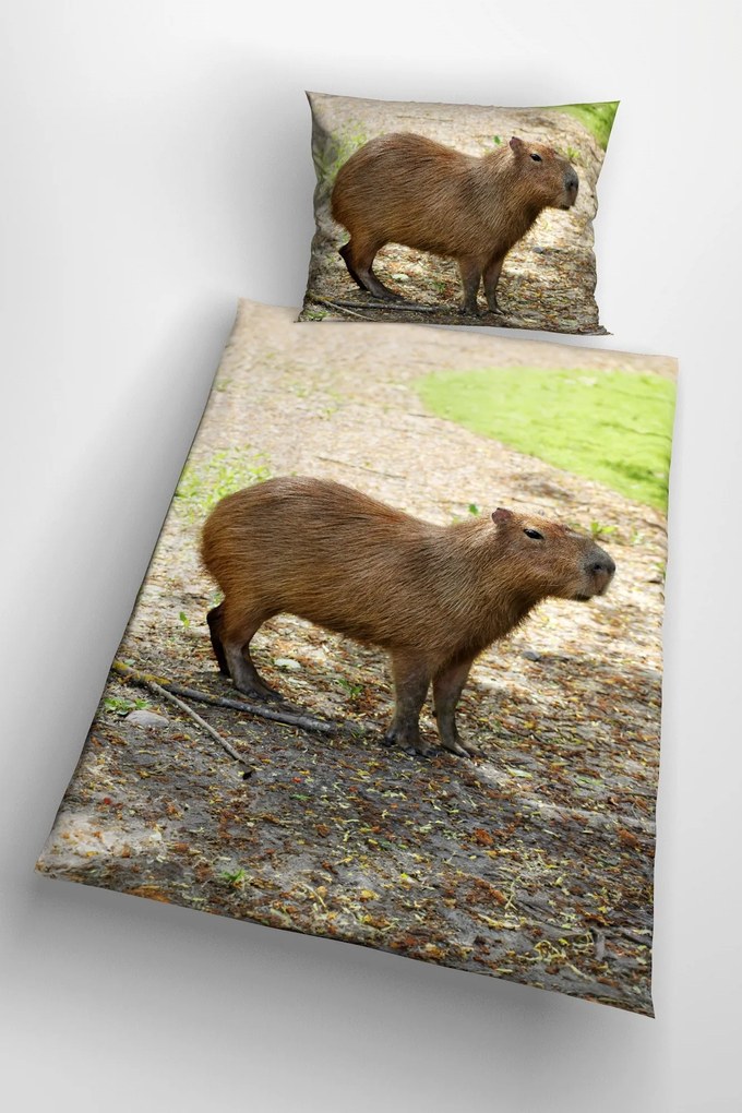 3d povlečení Capybara 140x200 cm