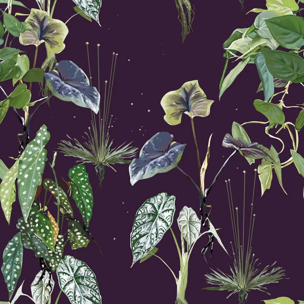 Samolepící tapeta rostliny na noční obloze