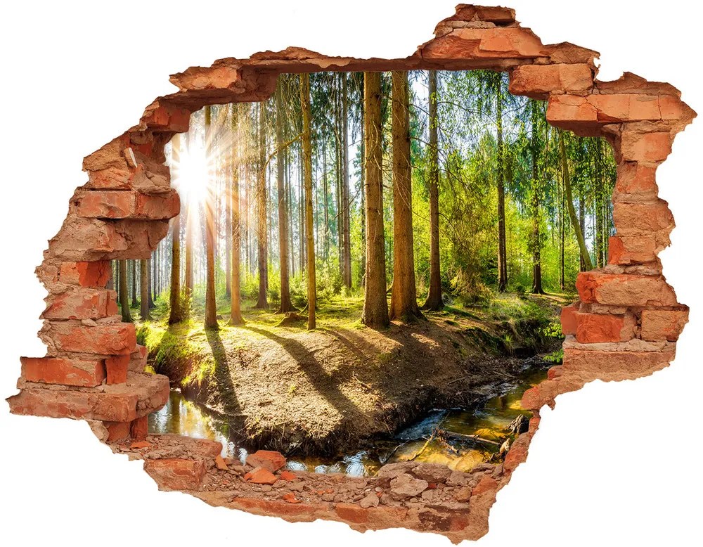 Wallmuralia Díra 3D ve zdi na stěnu Panorama les 90x70 cm